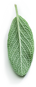 Florachem