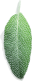 Florachem